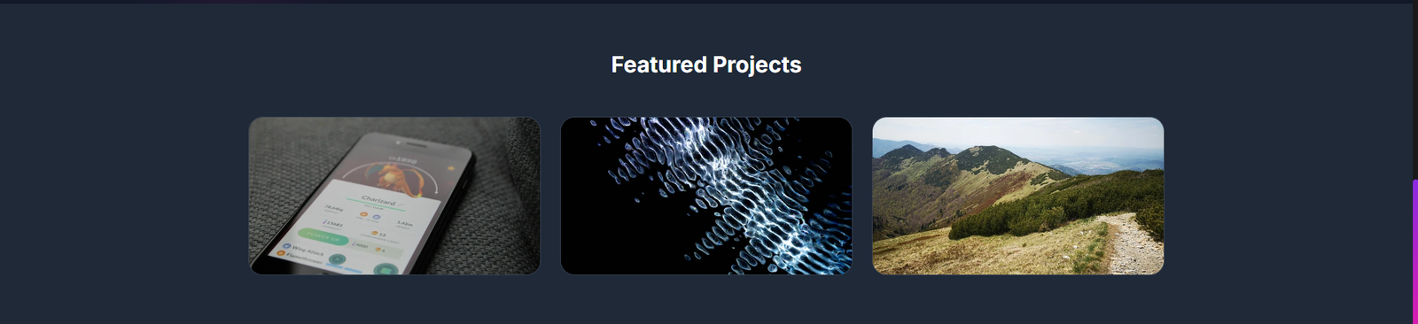 Developer portfolio